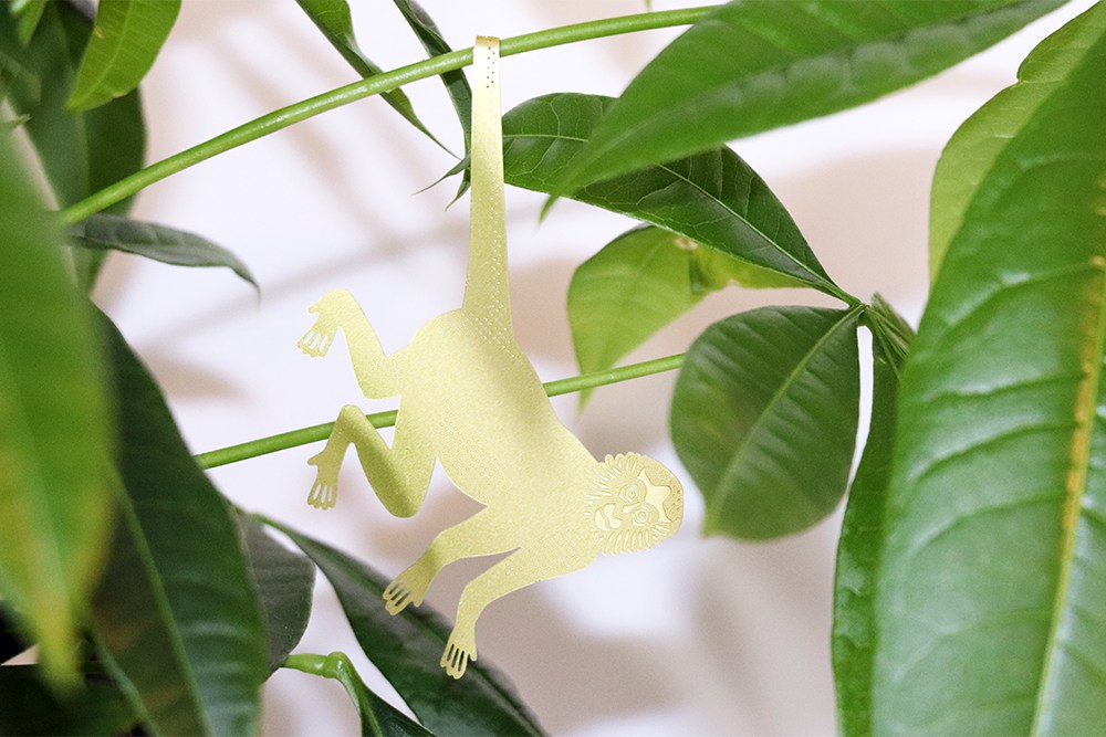 Livraison Plant Animal Singe-araignée - Plantes vertes et accessoires ...